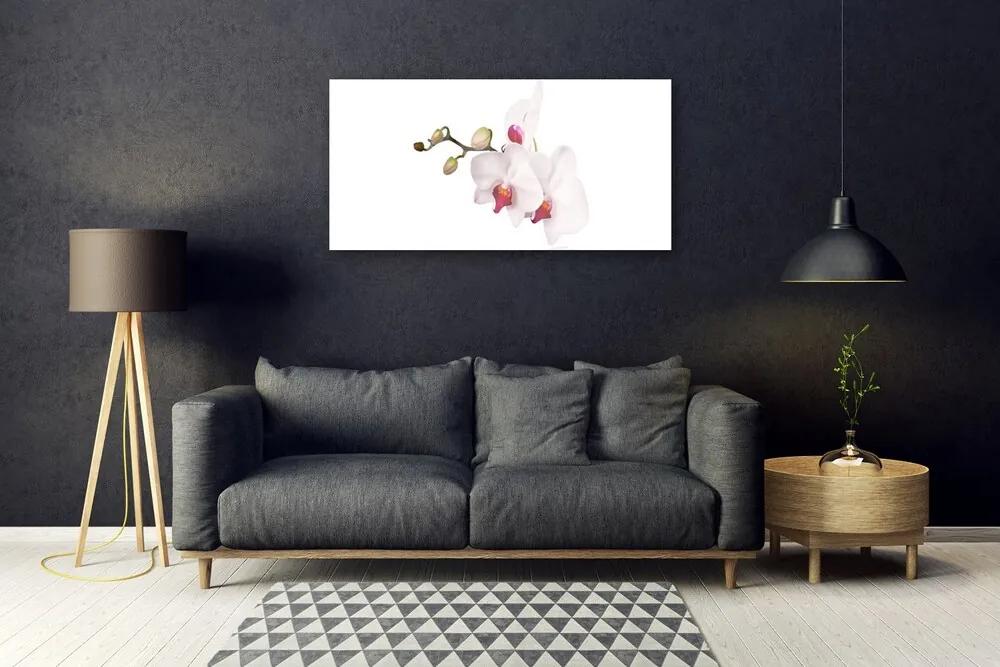 Obraz na skle Květiny Příroda Orchidej 120x60 cm