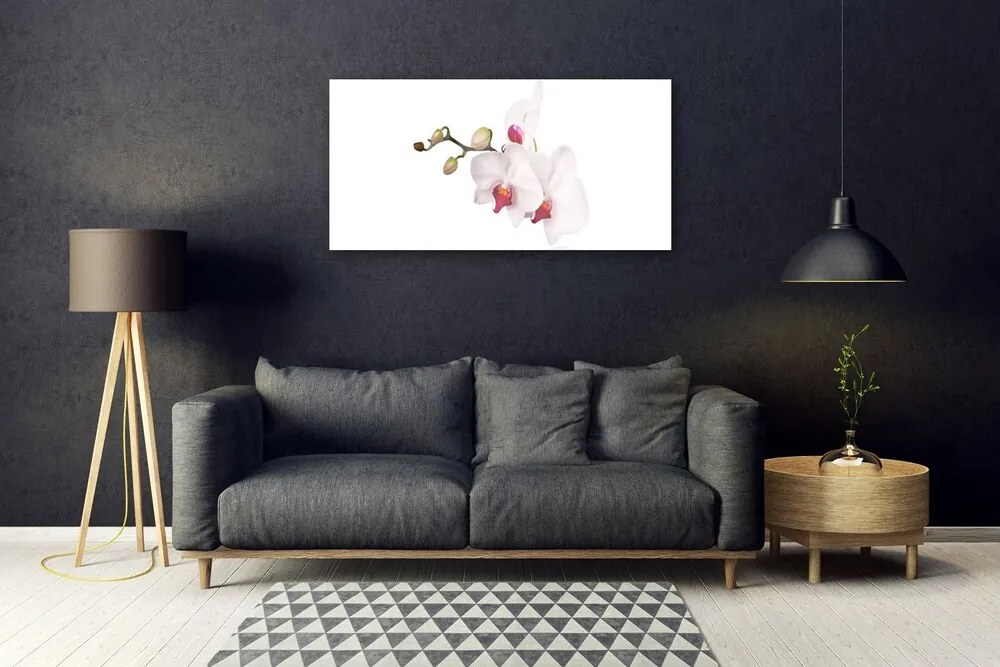 Obraz na skle Květiny Příroda Orchidej 125x50 cm