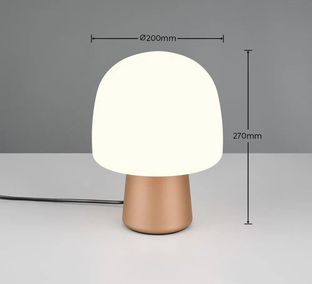 Stolní lampa v bílo-bronzové barvě se skleněným stínidlem (výška 27 cm) Steen – Trio