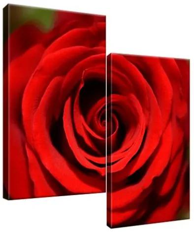 Obraz na plátně Tajemná červená růže 60x60cm 279A_2A