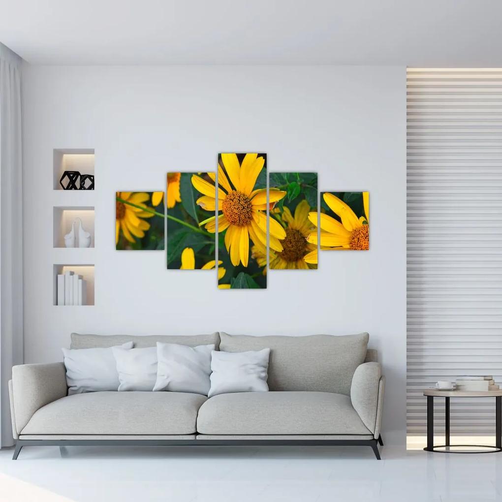 Obraz žlutých květin (125x70 cm)