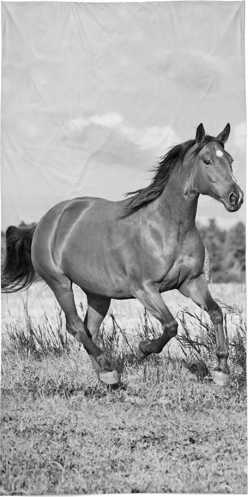 Detexpol Froté osuška 70x140 - Kůň černobílý 15