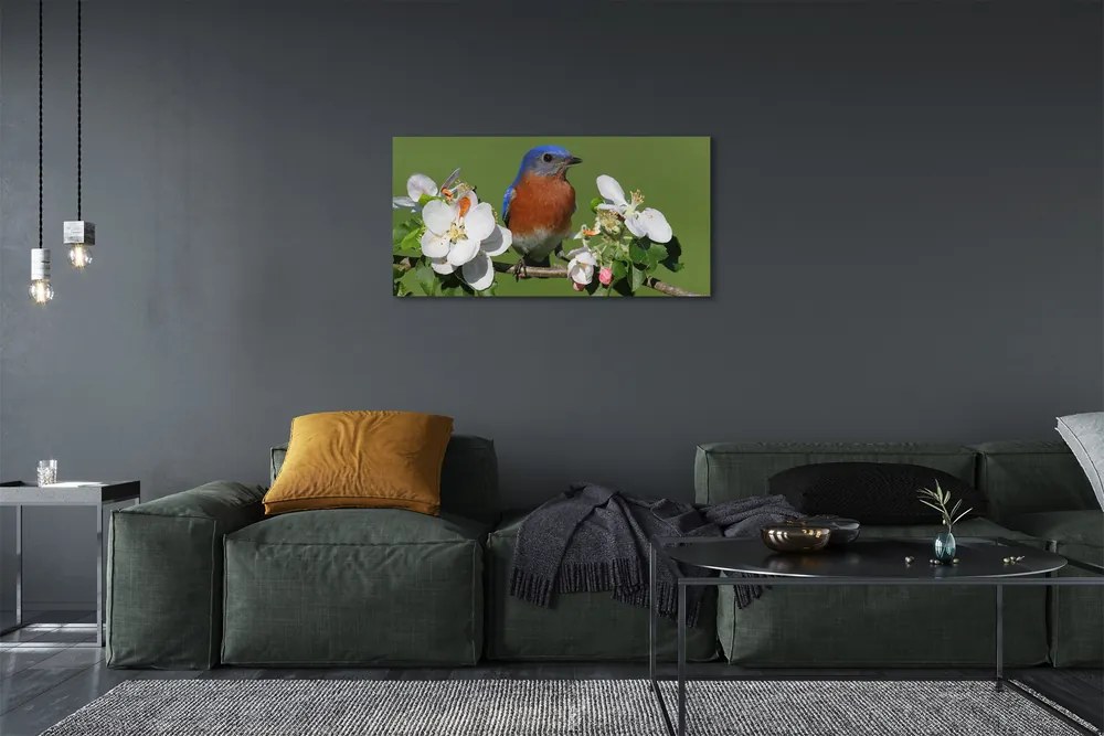 Obrazy na plátně Květiny barevné papoušek 100x50 cm