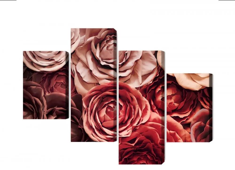 Vícedílný obraz Barevné Květiny Zblízka 3D Nedostatek Nedostatek Plátno Canvas 80x50