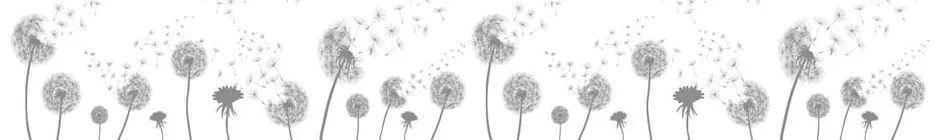 Samolepka na okno 200x40 cm Dandelions – Ambiance