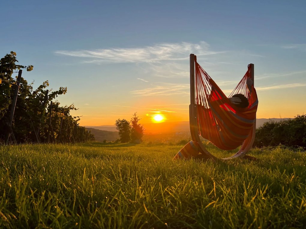 Houpací sedačka La Siesta Cumbia Comfort Outdoor ke stojanu Udine toucan