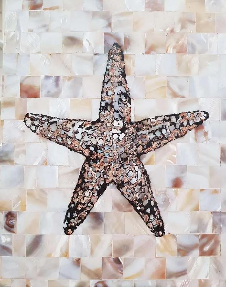 ART-STYLE Obrázek 24x30, hvězdice s perletí, rám bílý s patinou
