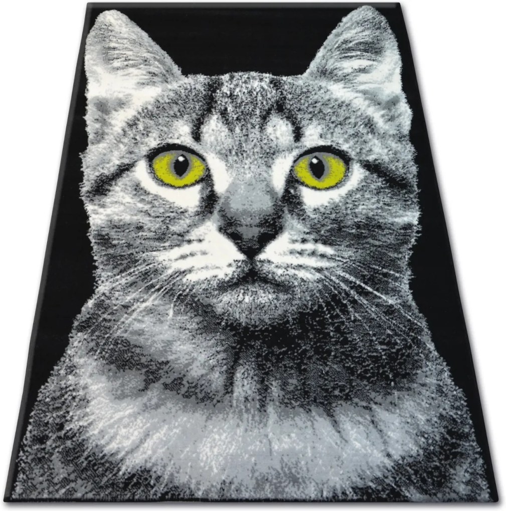 Kusový 3D koberec Flash Cat černý 120x170