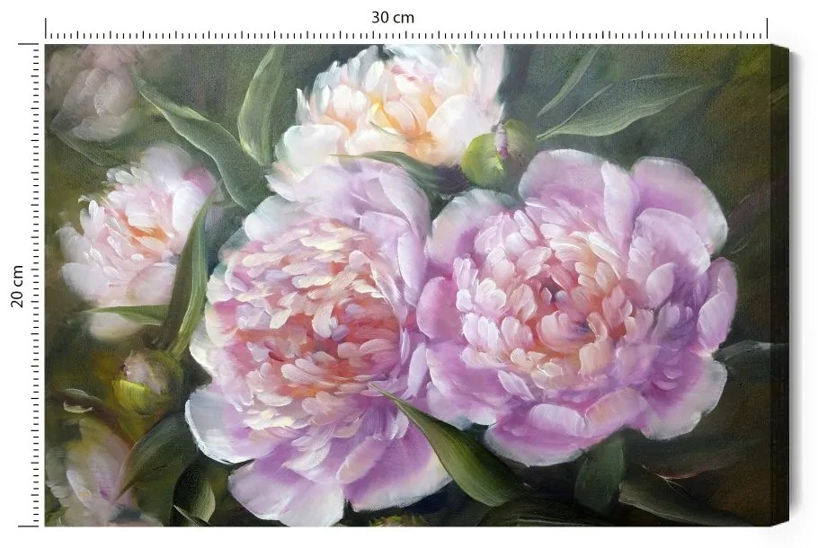 Obraz Pivoňky Růže A Listy Jak Malované Nedostatek Nedostatek Přírodní plátno 100x70