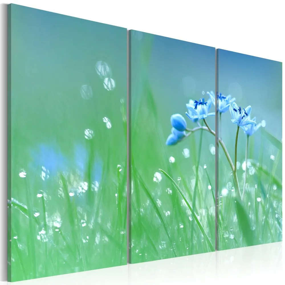 Obraz na plátně Bimago - Polní květiny 60x40 cm