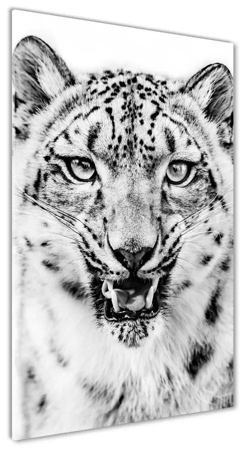 Wallmuralia Vertikální Fotoobraz na skle Sněžná pantera 50x100