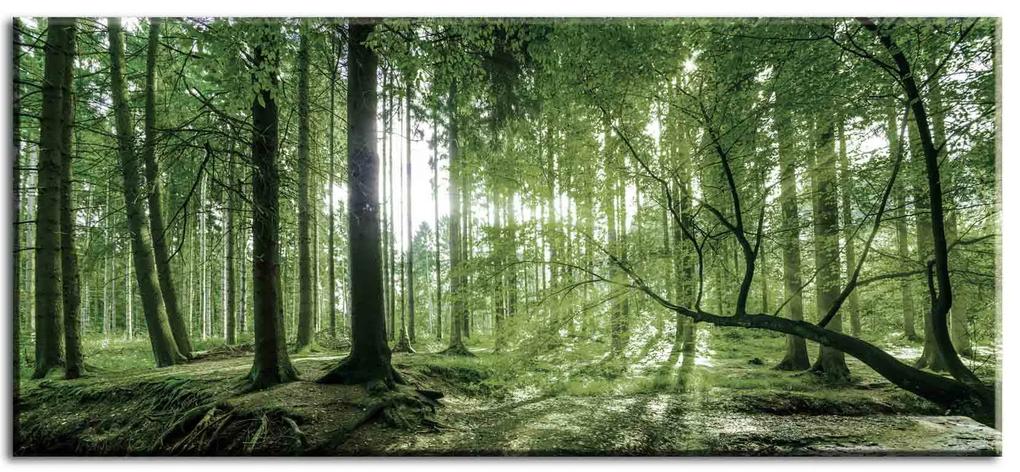 Obraz lesní úsvit III Velikost (šířka x výška): 150x70 cm