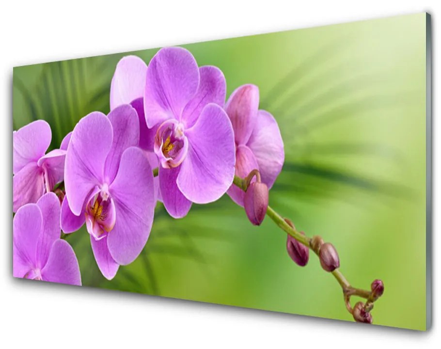 Obraz na skle Vstavač Orchidej Květiny 100x50 cm