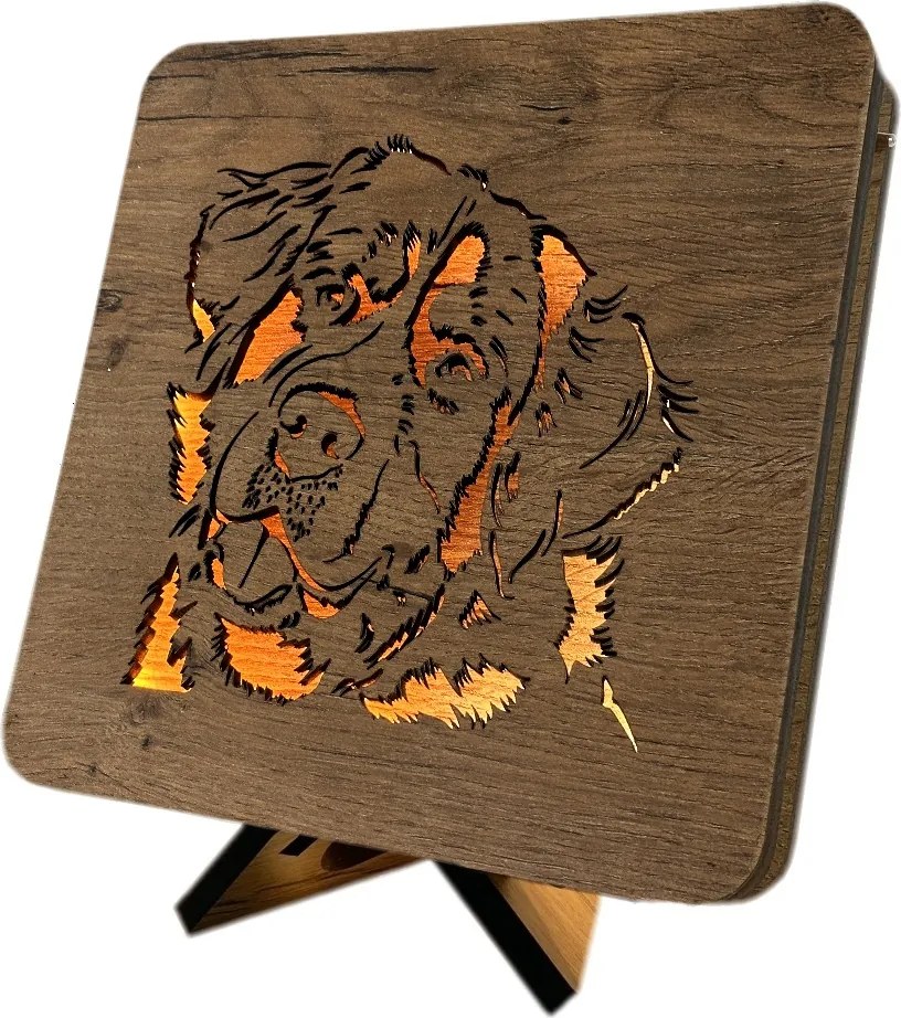 Li-Go "Bernardýn, Salašnický pes" lampa 19x19 cm provedení povrchu: dub