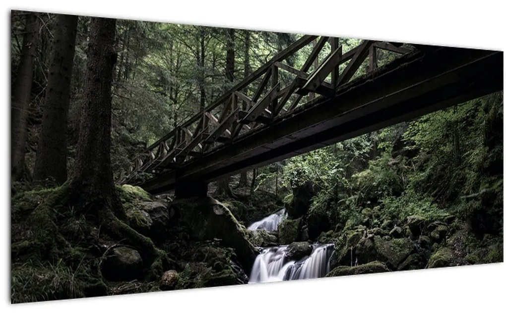 Obraz z černého lesa (100x40 cm), 40 dalších rozměrů