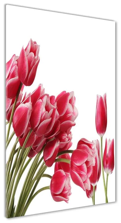 Wallmuralia Fotoobraz na skle Červené tulipány 60x120 cm