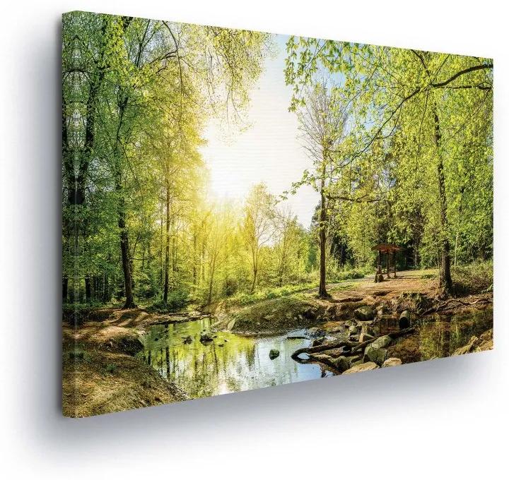 GLIX Obraz na plátně - Lesní Potok 100x75 cm