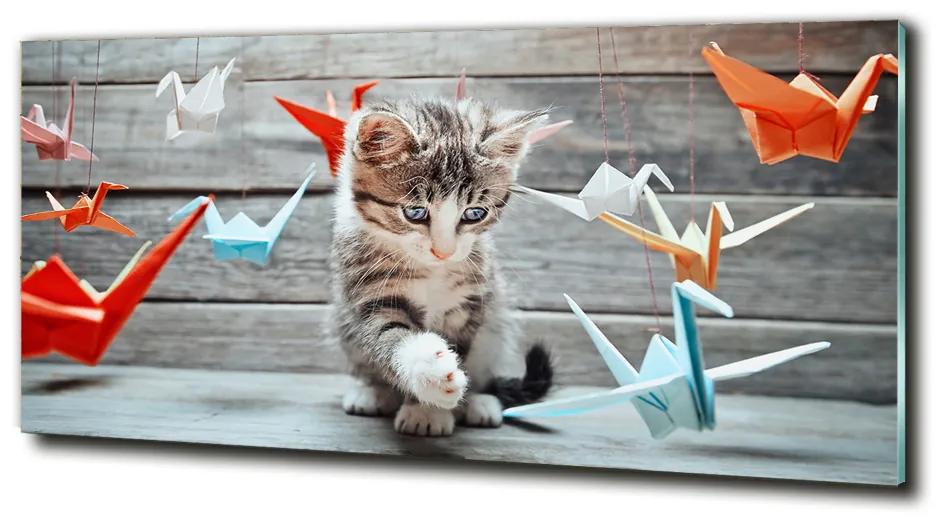 Wallmuralia Fotoobraz na skle Kočka ptáci z papíru 125x50 cm