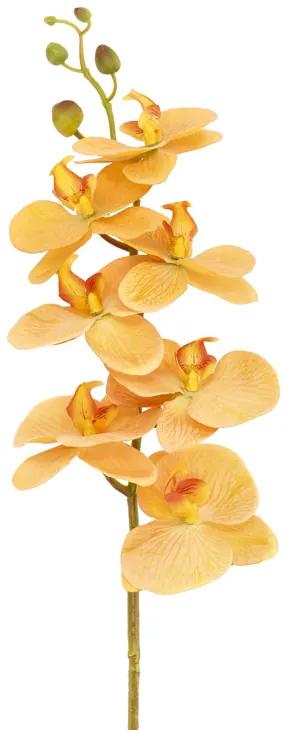 Villa Collection Umělá dekorace Styles Orchidej 102 cm Amber