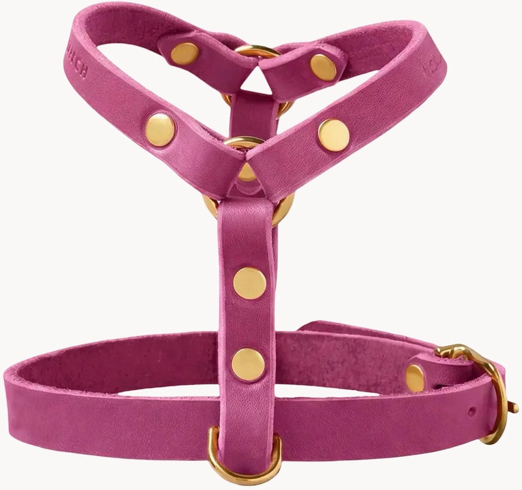 Kožený postroj pro psa Y-Harness, v různých velikostech
