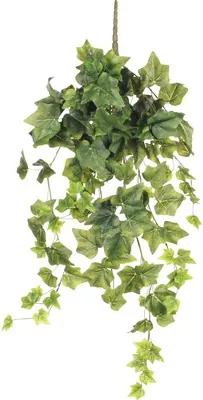 Umělá rostlina závěs břečťan zelený 71 cm