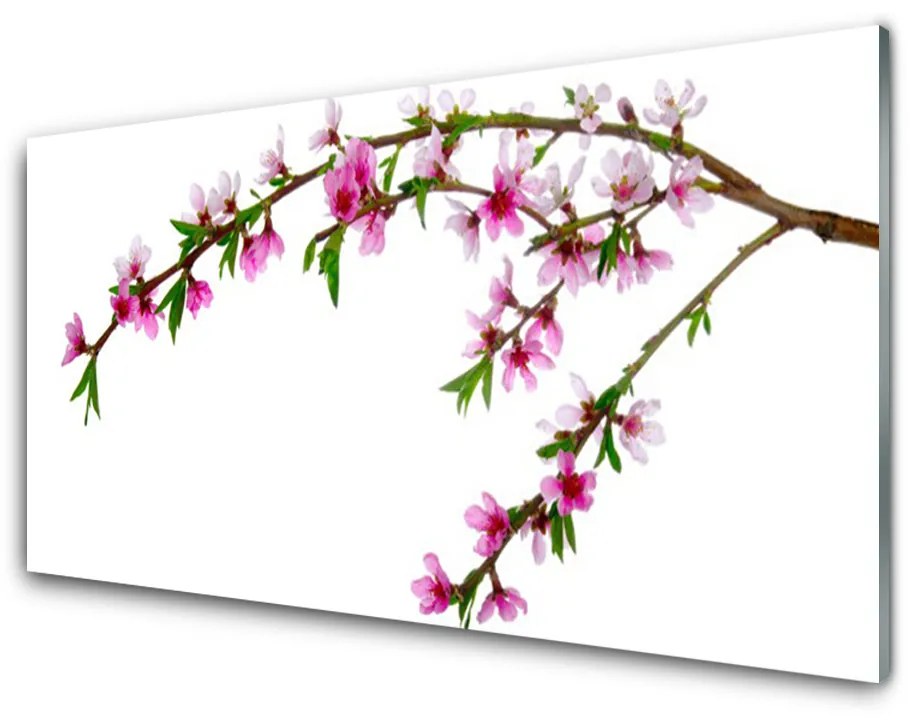 akrylový obraz Větev Květ Příroda 140x70 cm