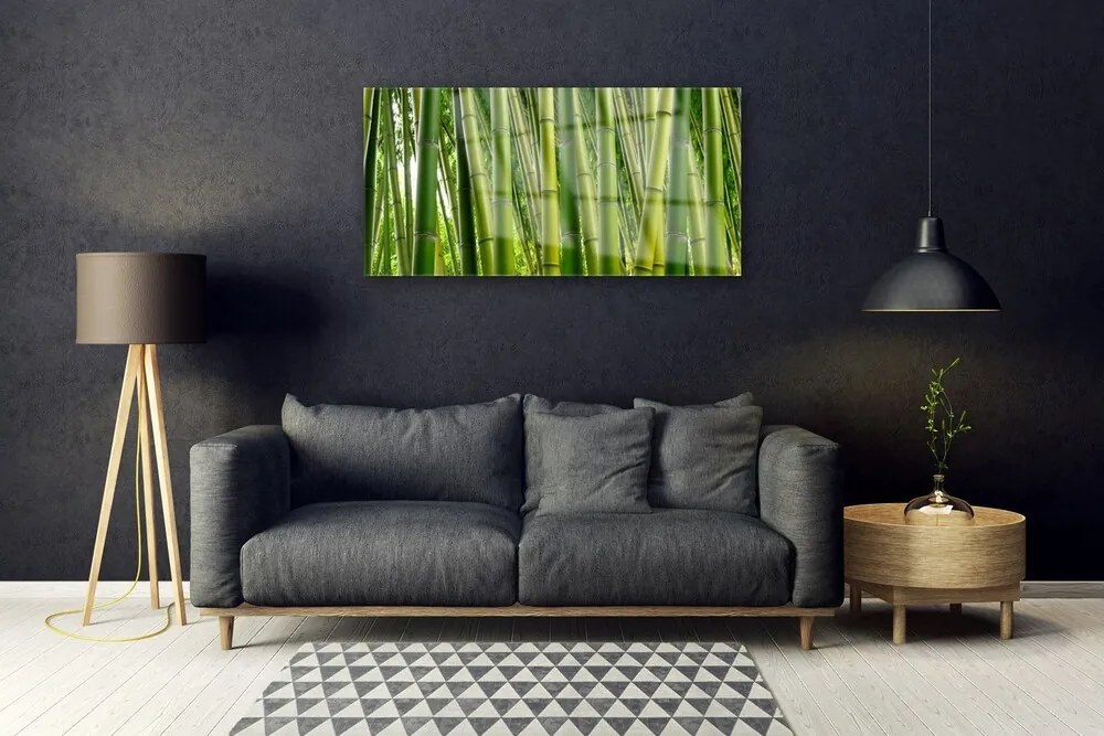 Obraz na skle Bambusový Les Bambusové Výhonky 125x50 cm