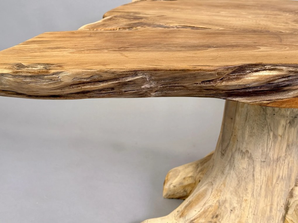 Konferenční stolek Woodstock Teak