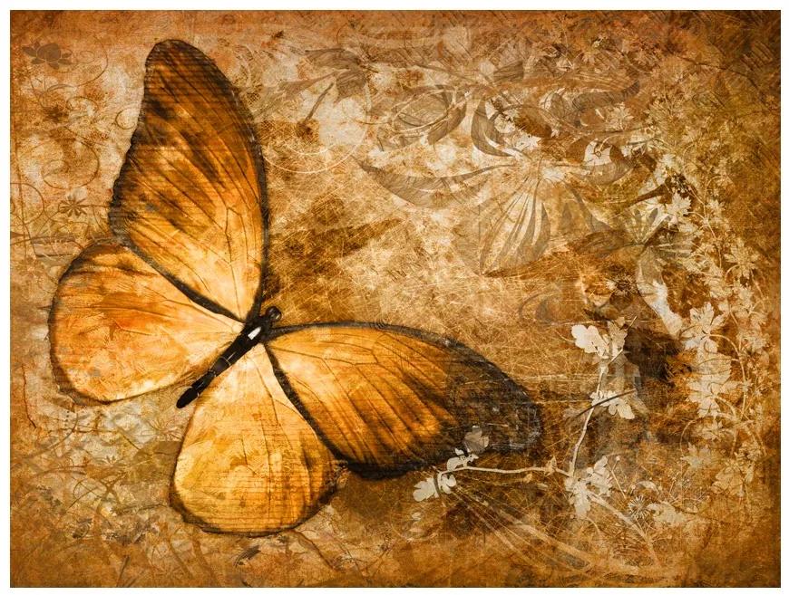 Fototapeta - butterfly (sepia)