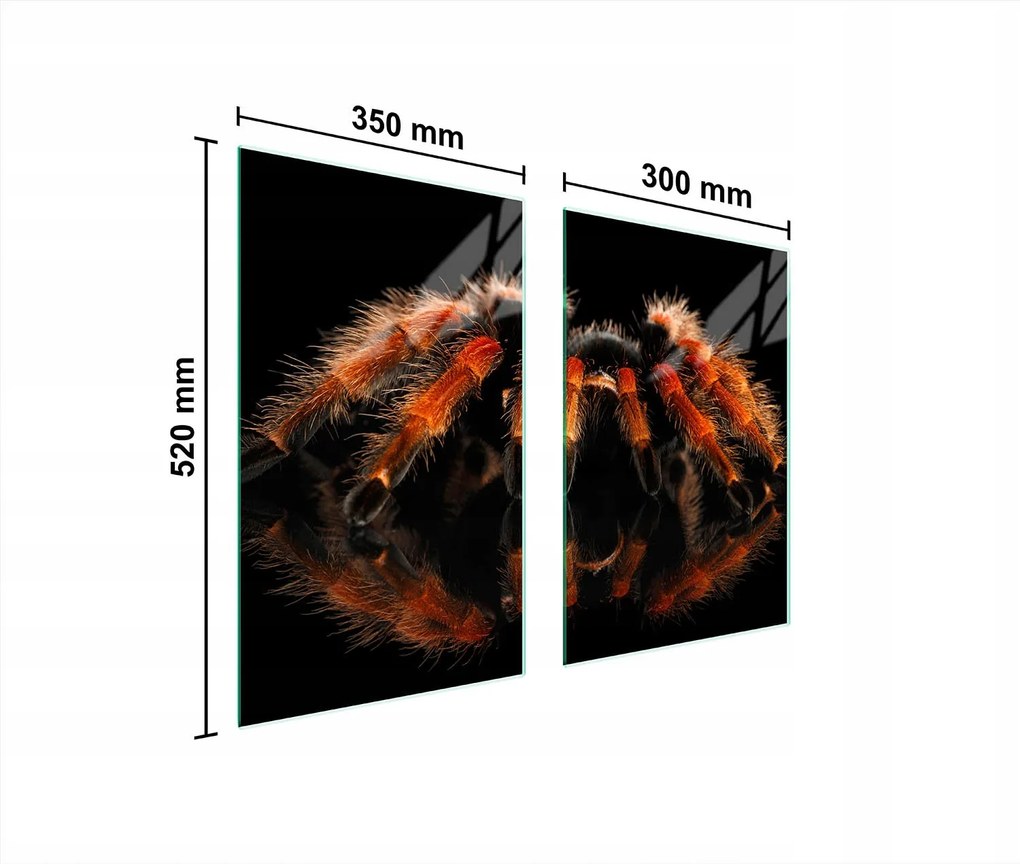 Skleněná Ochranná Deska Do Kuchyně 65x52 Pavouk