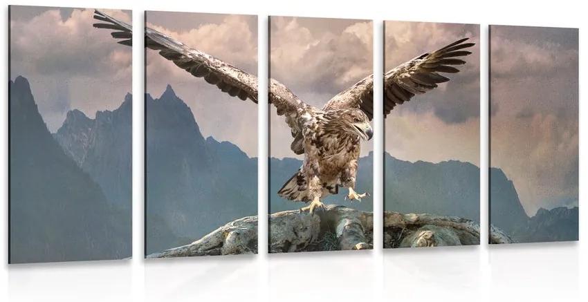 5-dílný obraz orel s roztaženými křídly nad horami Varianta: 100x50