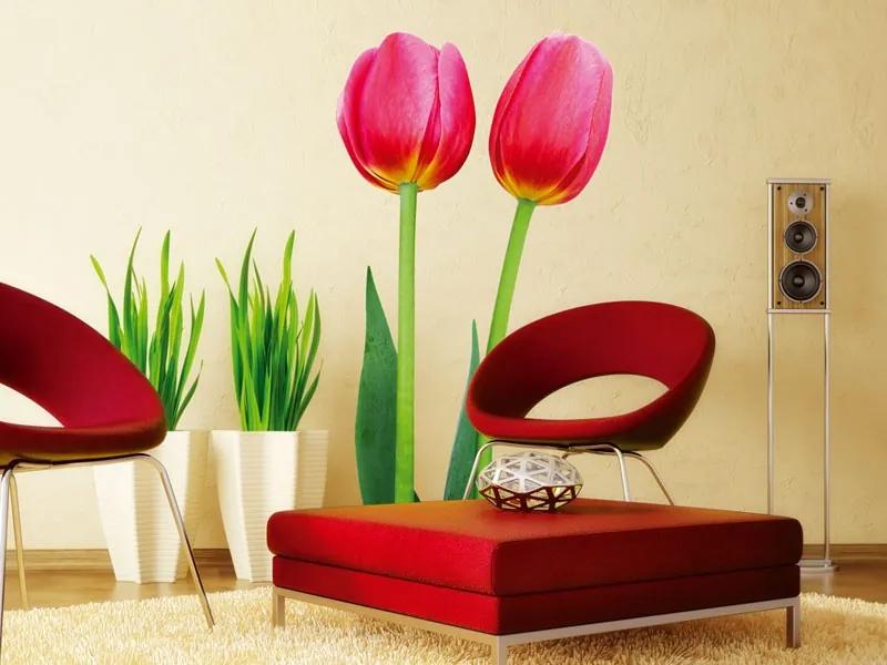 Dimex ST2-018 Samolepící dekorace Tulips 65x165cm