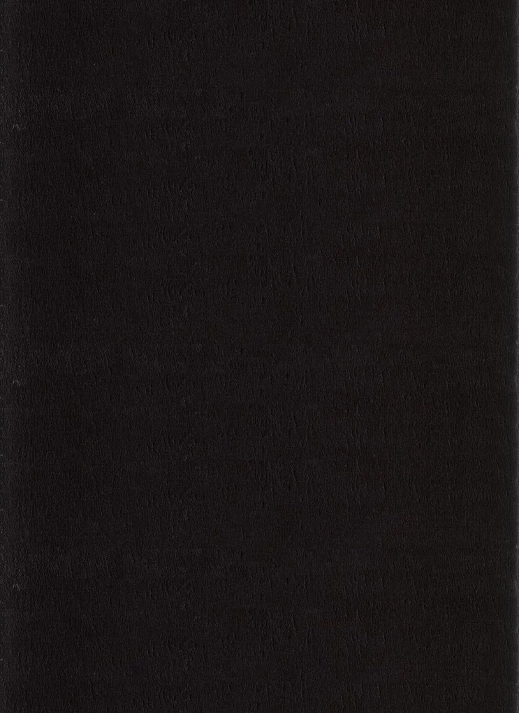 Ayyildiz Kusový koberec CATWALK 2600, Černá Rozměr koberce: 120 x 160 cm