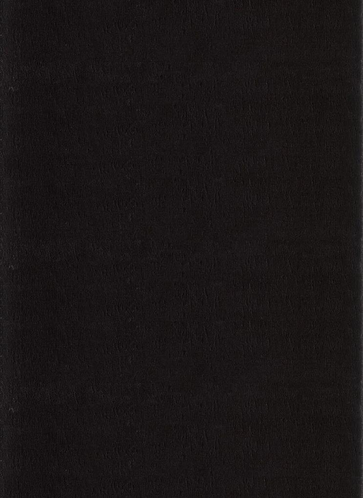 Ayyildiz Kusový koberec CATWALK 2600, Černá Rozměr koberce: 160 x 220 cm