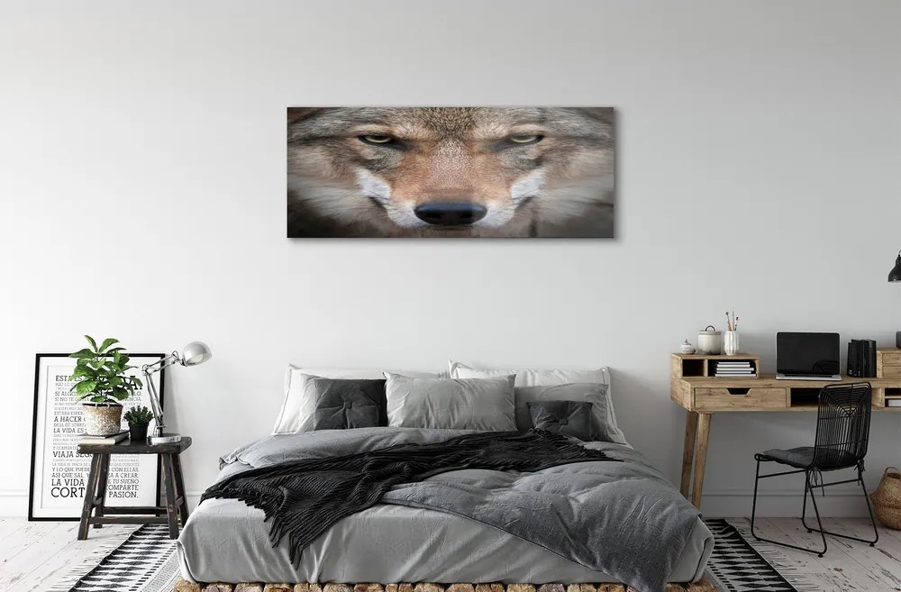 akrylový obraz wolf Eyes 120x60 cm