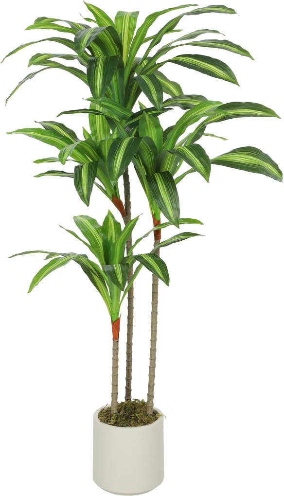 HOMCOM umělá Dracaena s nastavitelnými větvemi, bílý PP květináč s cementovou zátěží – listy PEVA, dřevěný kmen, 60 × 40 × 120 cm | Aosom