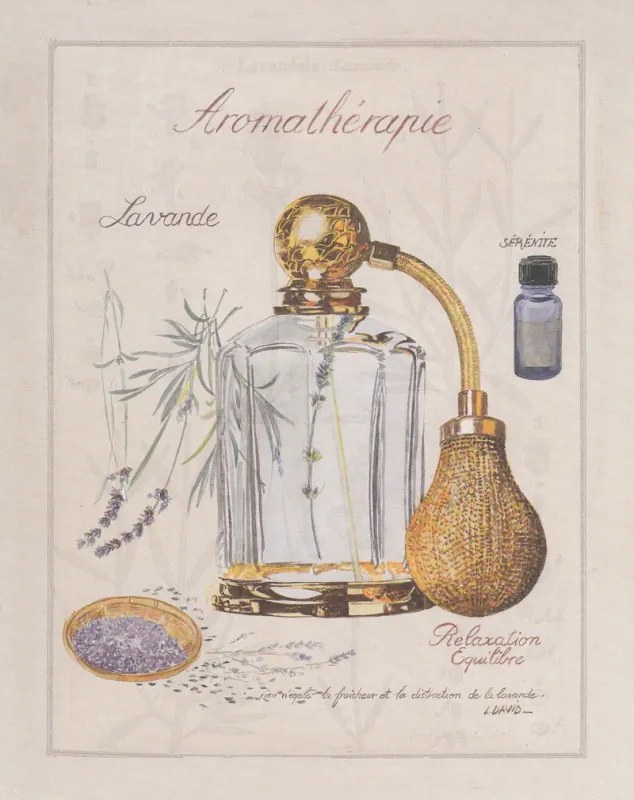 ART-STYLE Obrázek 30x40, aromaterapie levandule, rám sv. dub - červotoč