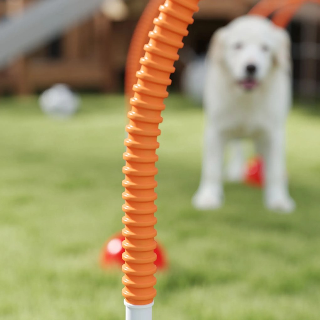 4dílné zařízení pro výcvik agility psů se 4 dvířky s nastavitelnou šířkou, taška na přenášení, na zahradu, modrá barva