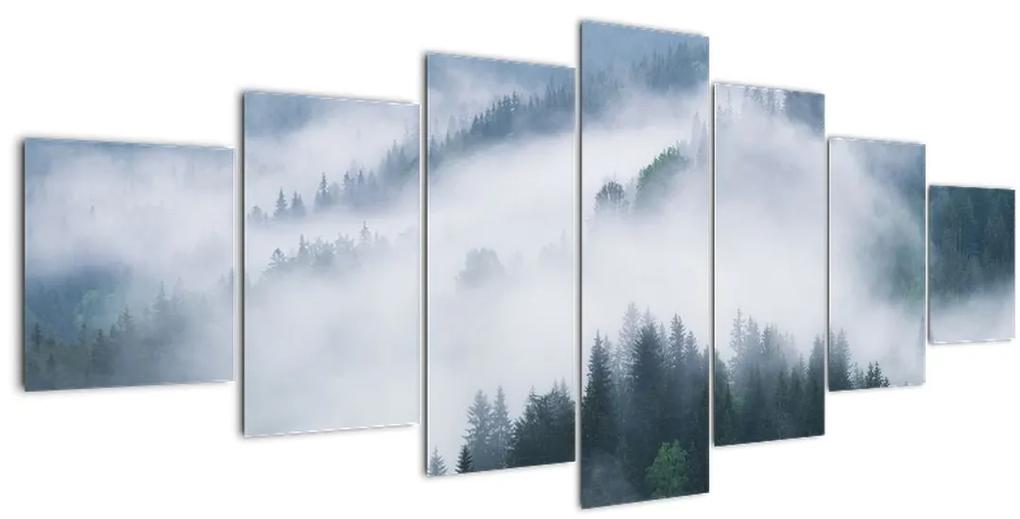 Obraz - Stromy v mlze (210x100 cm)