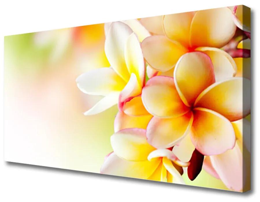 Obraz na plátně Květiny Rostlina Příroda 100x50cm