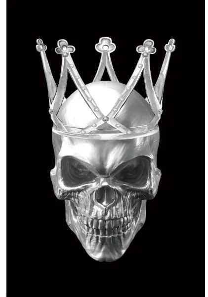 Obraz Skull 80x120 černý/stříbrný