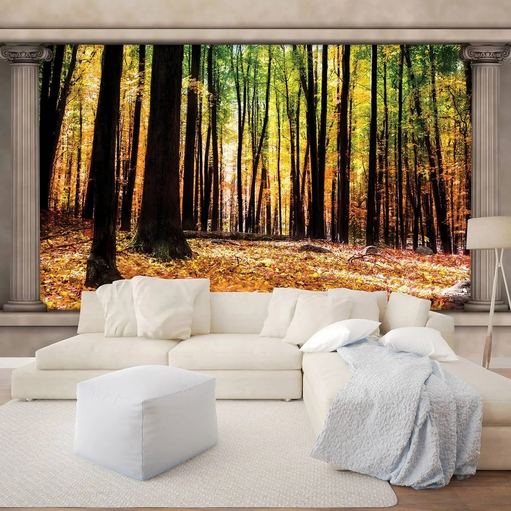 Fototapeta - Podzimní les (254x184 cm)