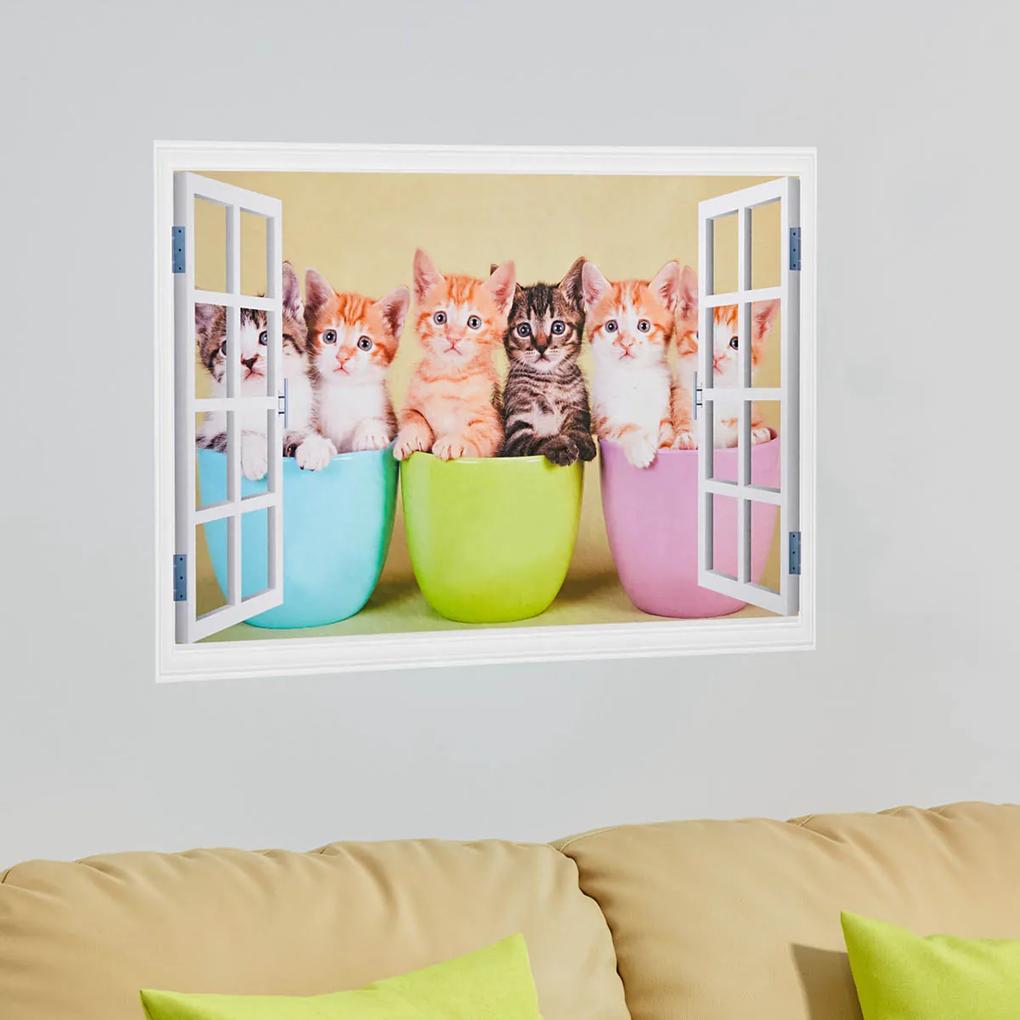 Samolepící obraz Kočičí okénko