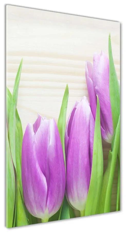 Wallmuralia Fotoobraz na skle Fialové tulipány 60x120 cm