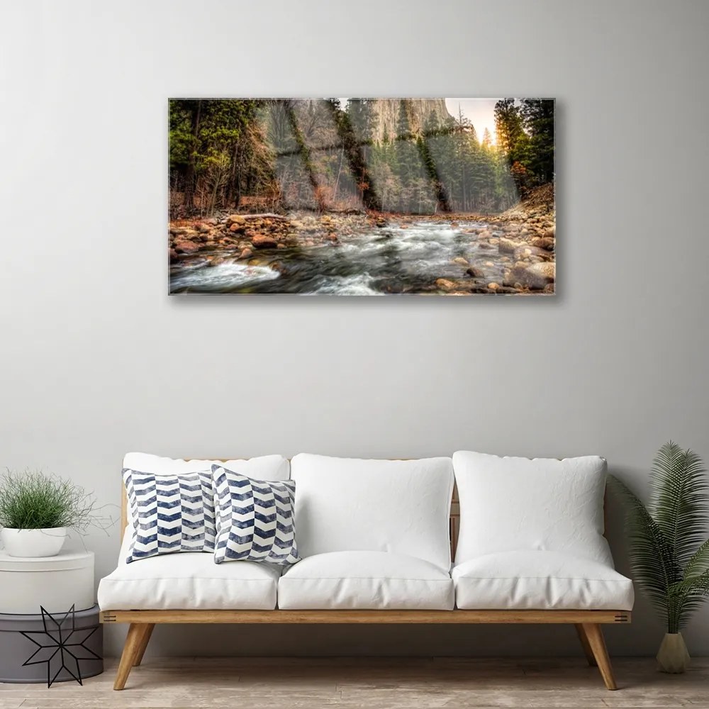 akrylový obraz Les Jezero Příroda 100x50 cm