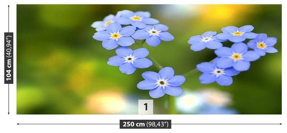 Fototapeta Forget-me-nots Srdce 104x70