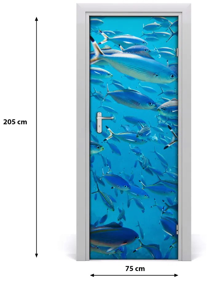 Samolepící fototapeta na dveře Korálové ryby 75x205 cm