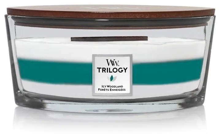 WoodWick Vonná svíčka WoodWick - Trilogy Icy Woodland 453,6 g, zelená barva, sklo