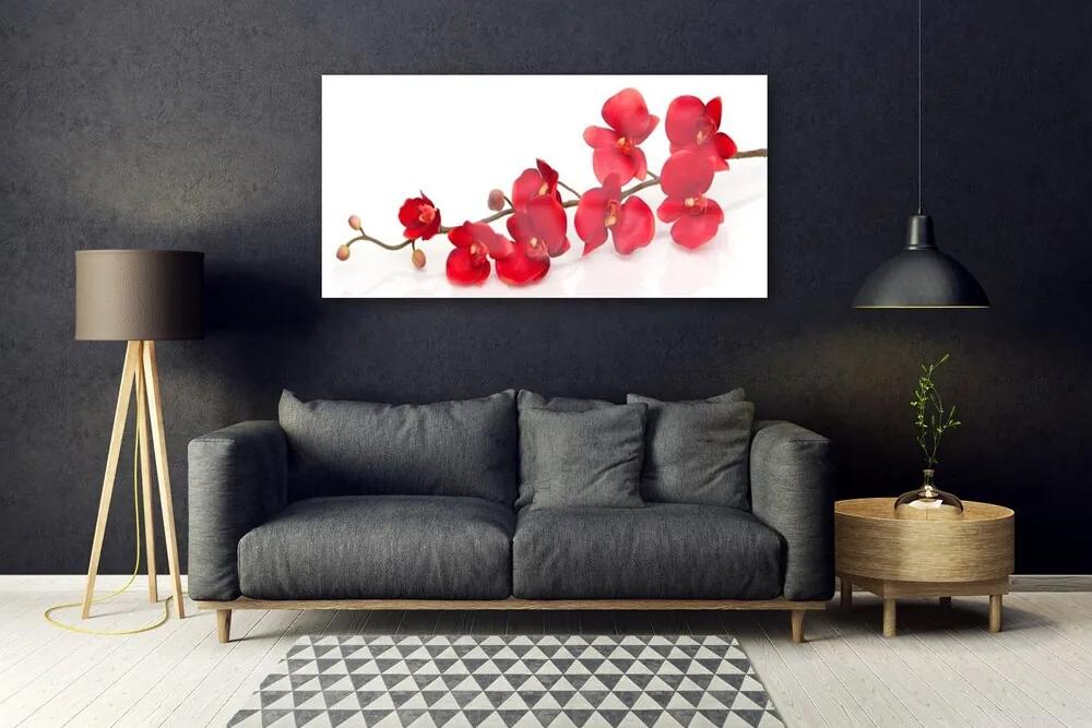 akrylový obraz Květiny Rostlina 120x60 cm