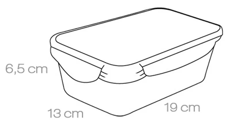 TESCOMA Dóza FRESHBOX 1,0 l, obdélníková